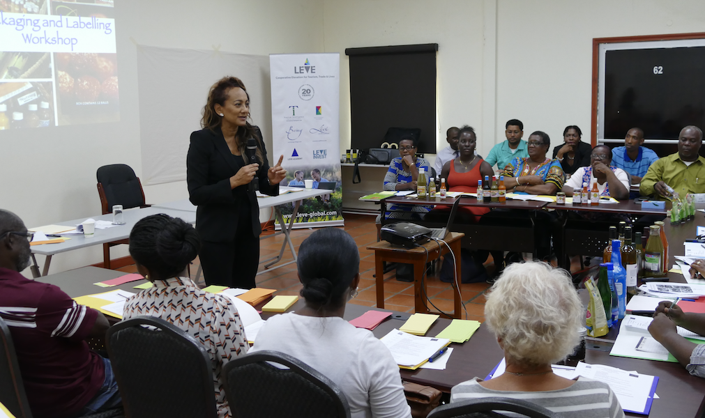 Training & Capacity Building - Leve Global