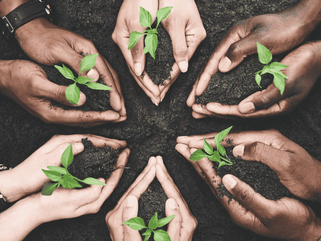 We Care - Leve Global